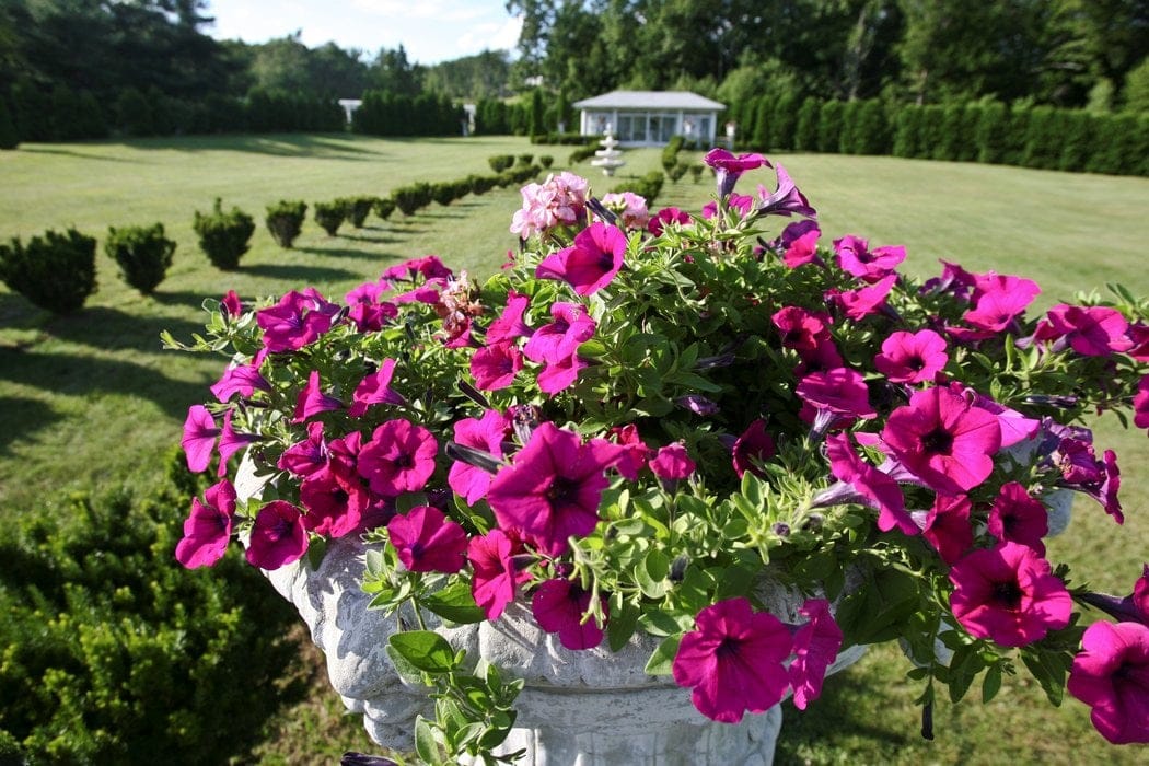 The Village - Ron Burton Training Village